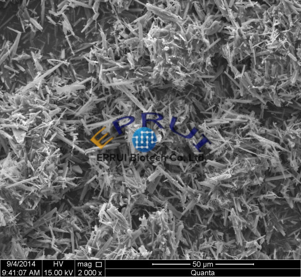 Hydroxyapatite Nanopowder Supplier - EPRUI Biotech