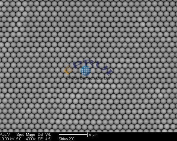 Particle Count Standards, Size Standard Particles Supplier - EPRUI Biotech
