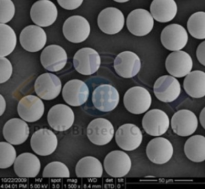 Sulfonated Polystyrene Microspheres - EPRUI Biotech