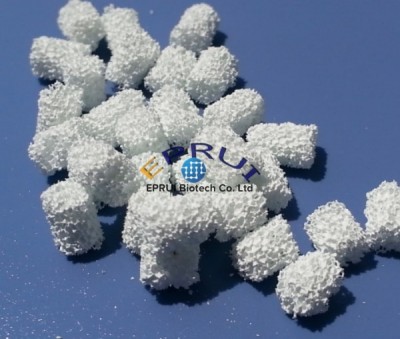 Synthetic Beta TCP Granules as Bone Void Fillers from EPRUI