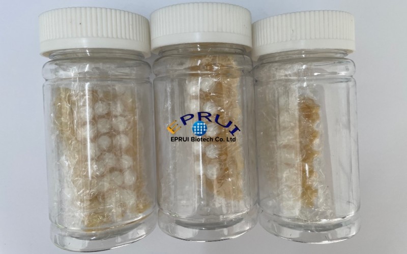 Synthetic Beta TCP Granules as Bone Void Fillers from EPRUI